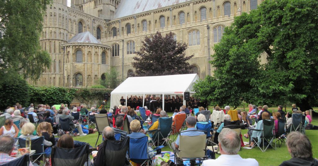 Carnival Theme for the 2020 Isle of Ely Arts Festival - Spotted in Ely