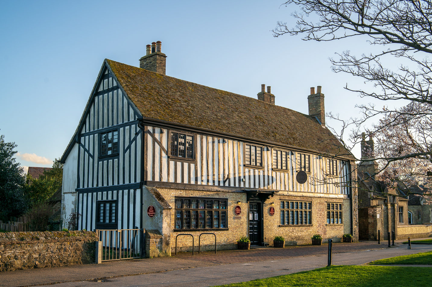 Writer and Historian Miranda Malins comes to Ely - Spotted in Ely
