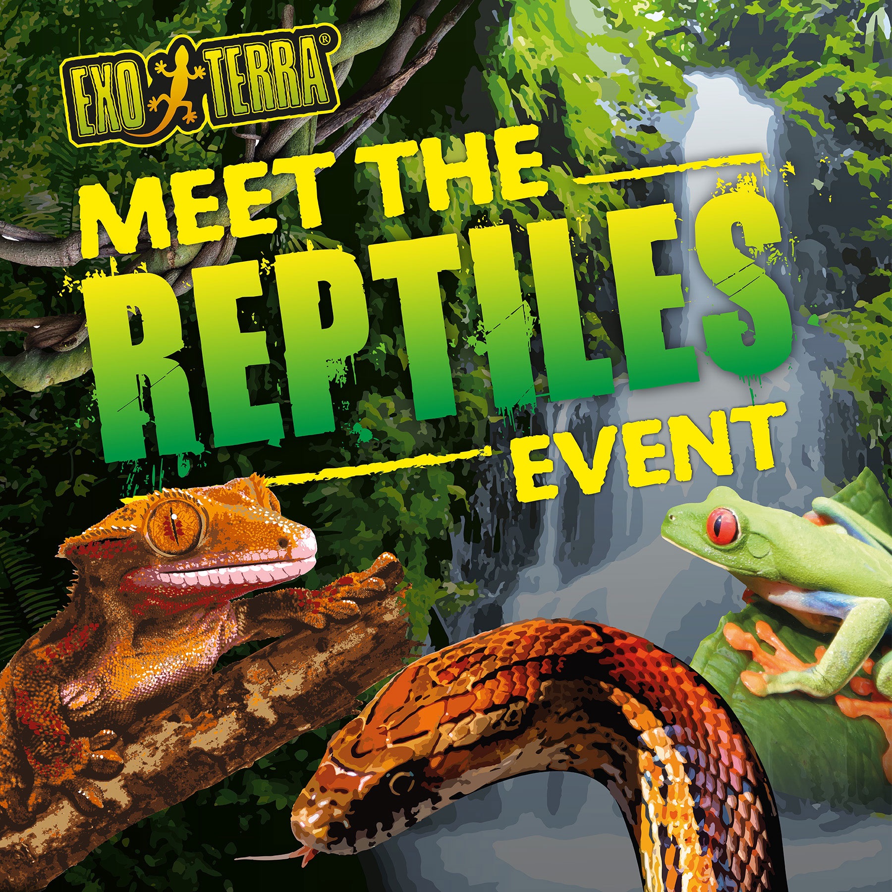 Ely Exotics - Meet The Reptiles - Spotted in Ely