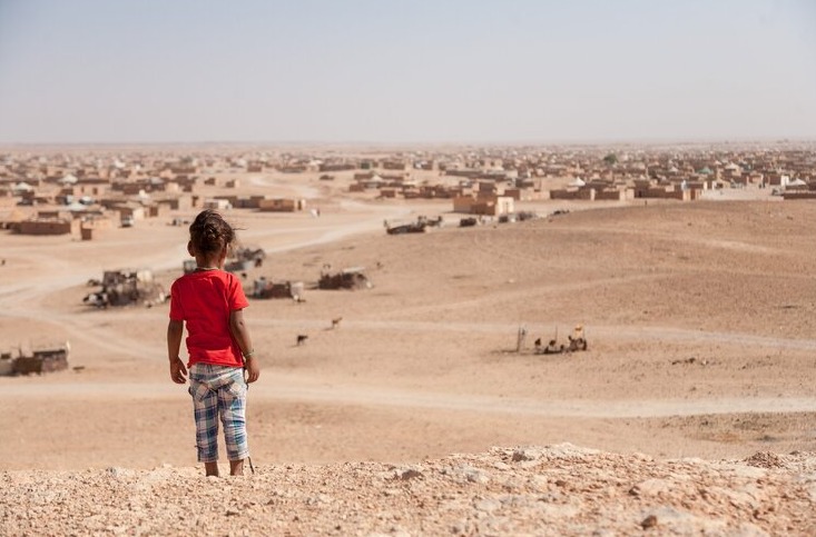 Sand & Vision Photographic Exhibition - Spotted in Ely