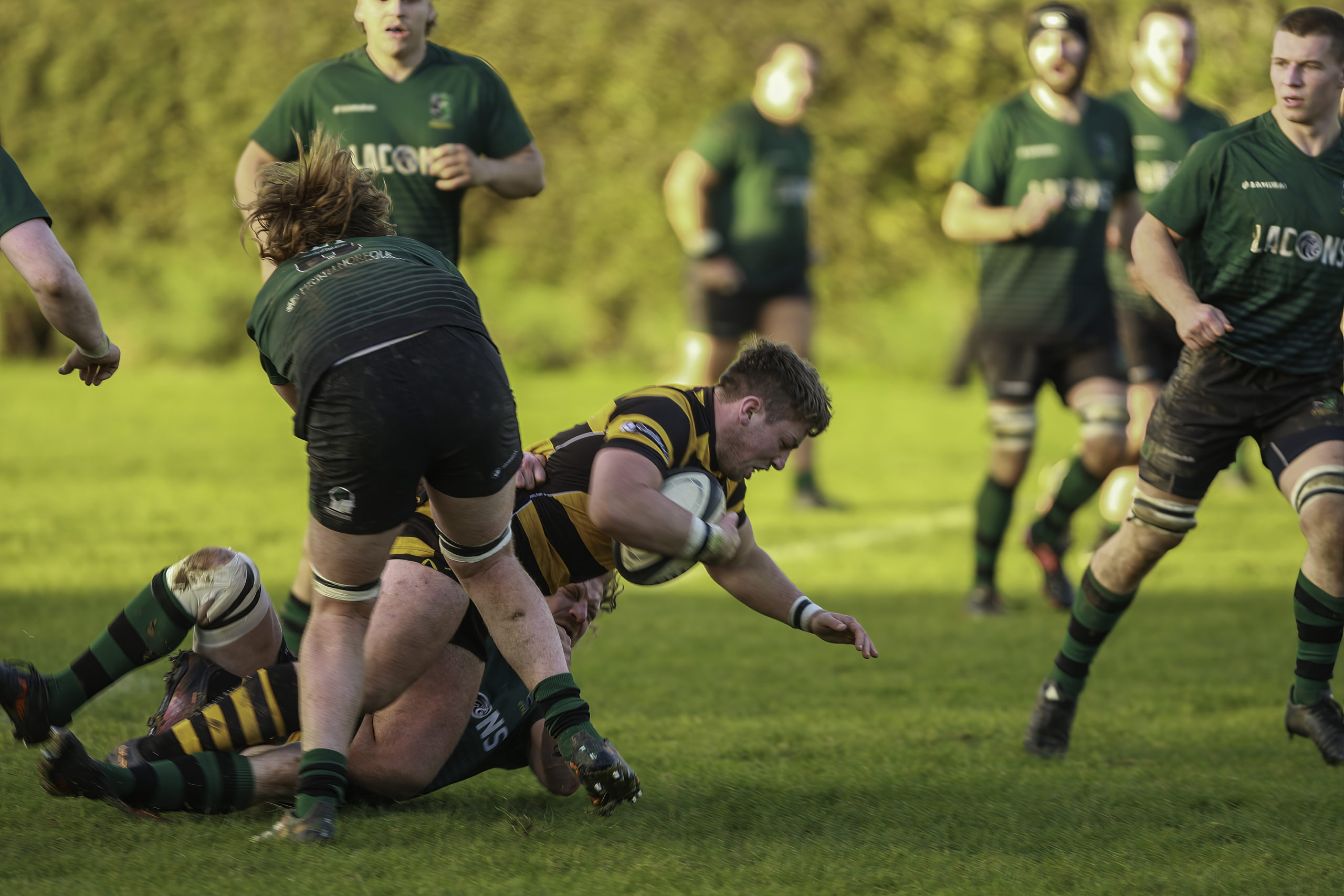 Ely Tigers Match Report: Ely Tigers vs North Walsham - Spotted in Ely