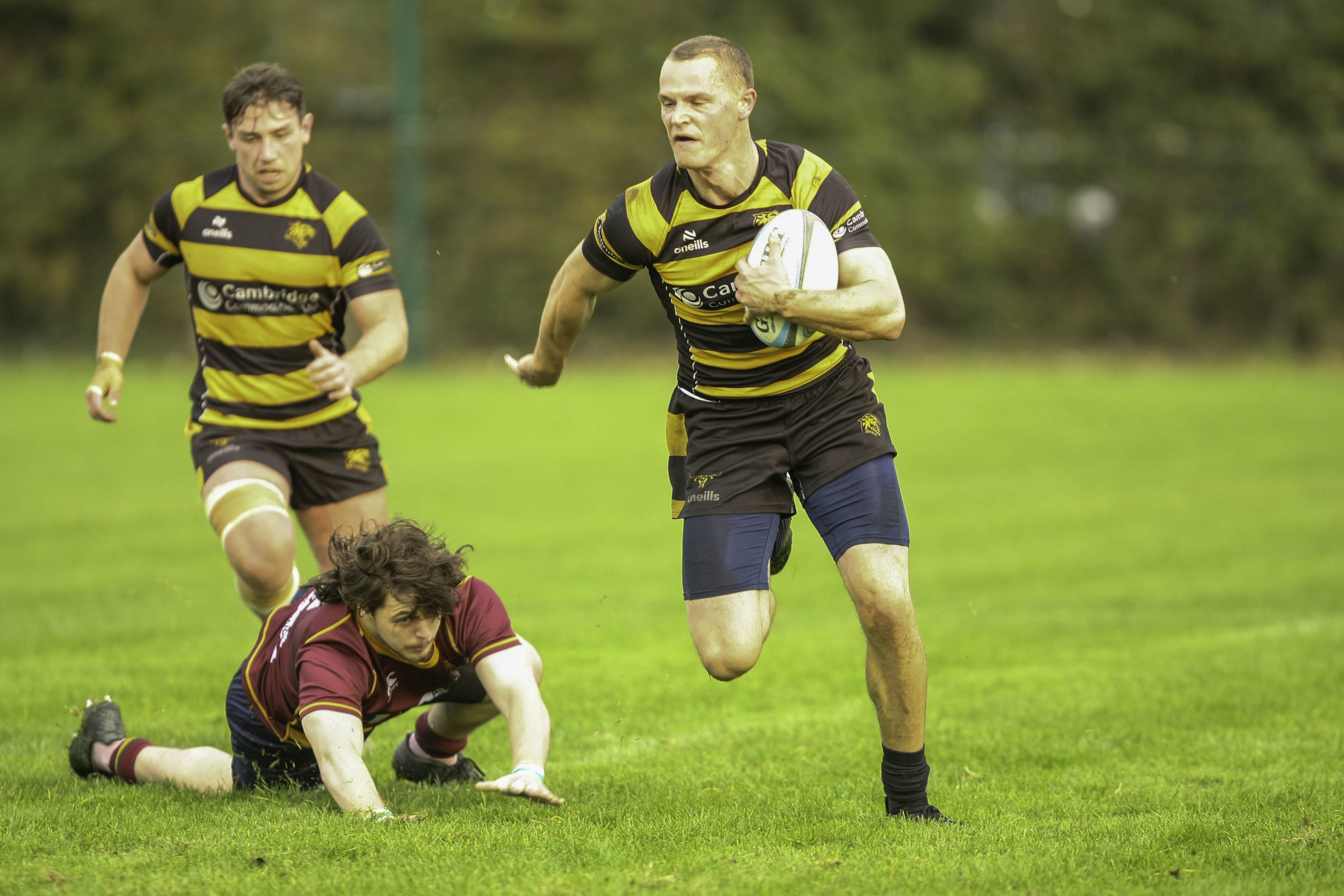 Ely Tigers Report - Spotted in Ely