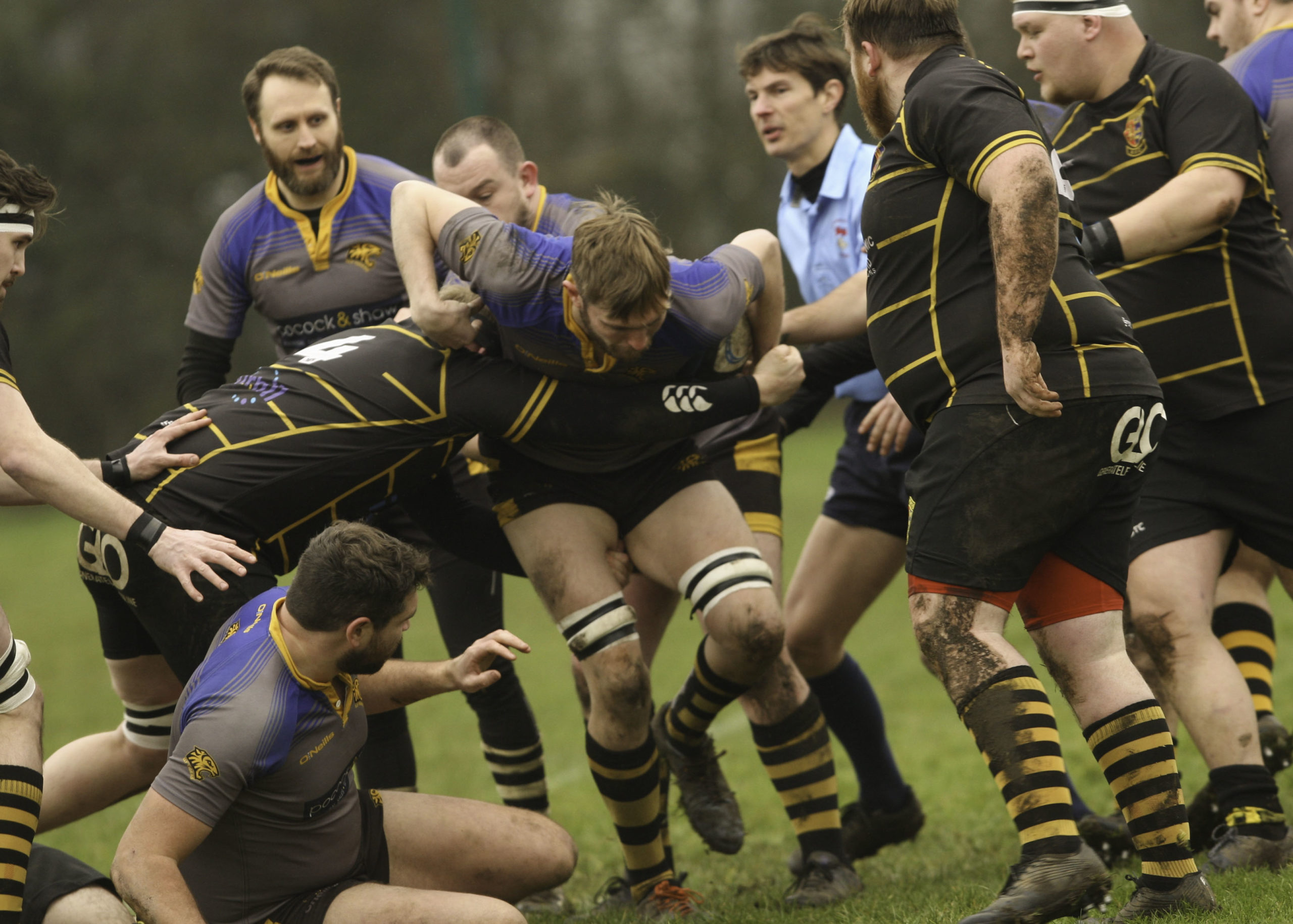 Ely Tigers Match Report - Spotted in Ely
