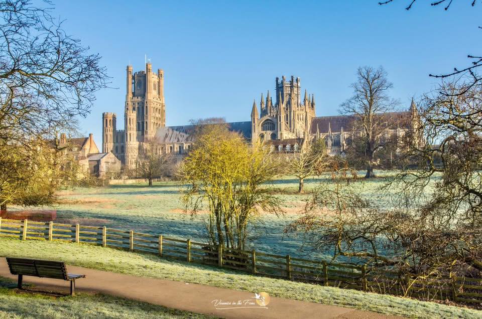 Veronica in the Fens at Ely Markets - Spotted in Ely