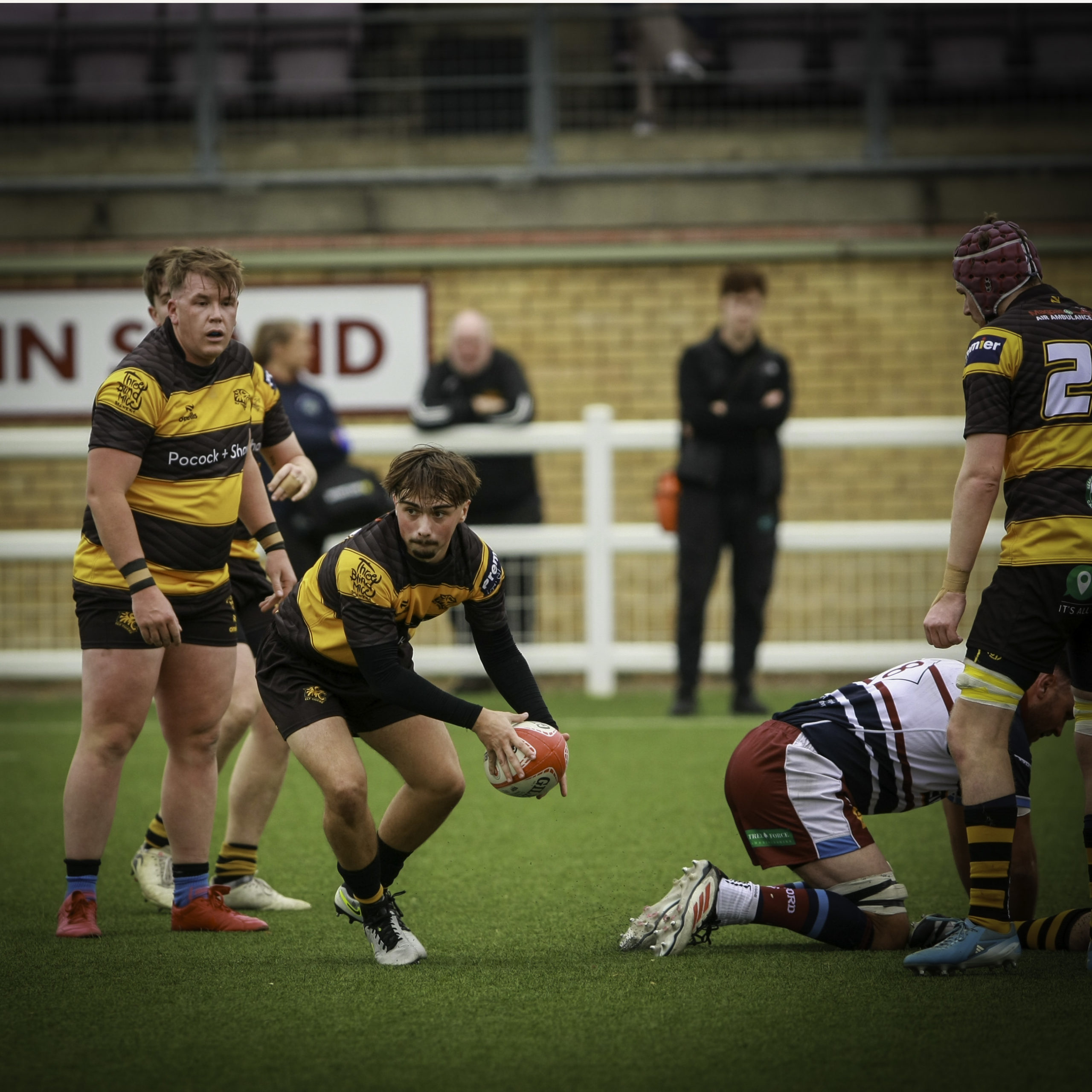 Ely Tigers fall 47-21 to Shelford Nomads after spirited fightback amid ...