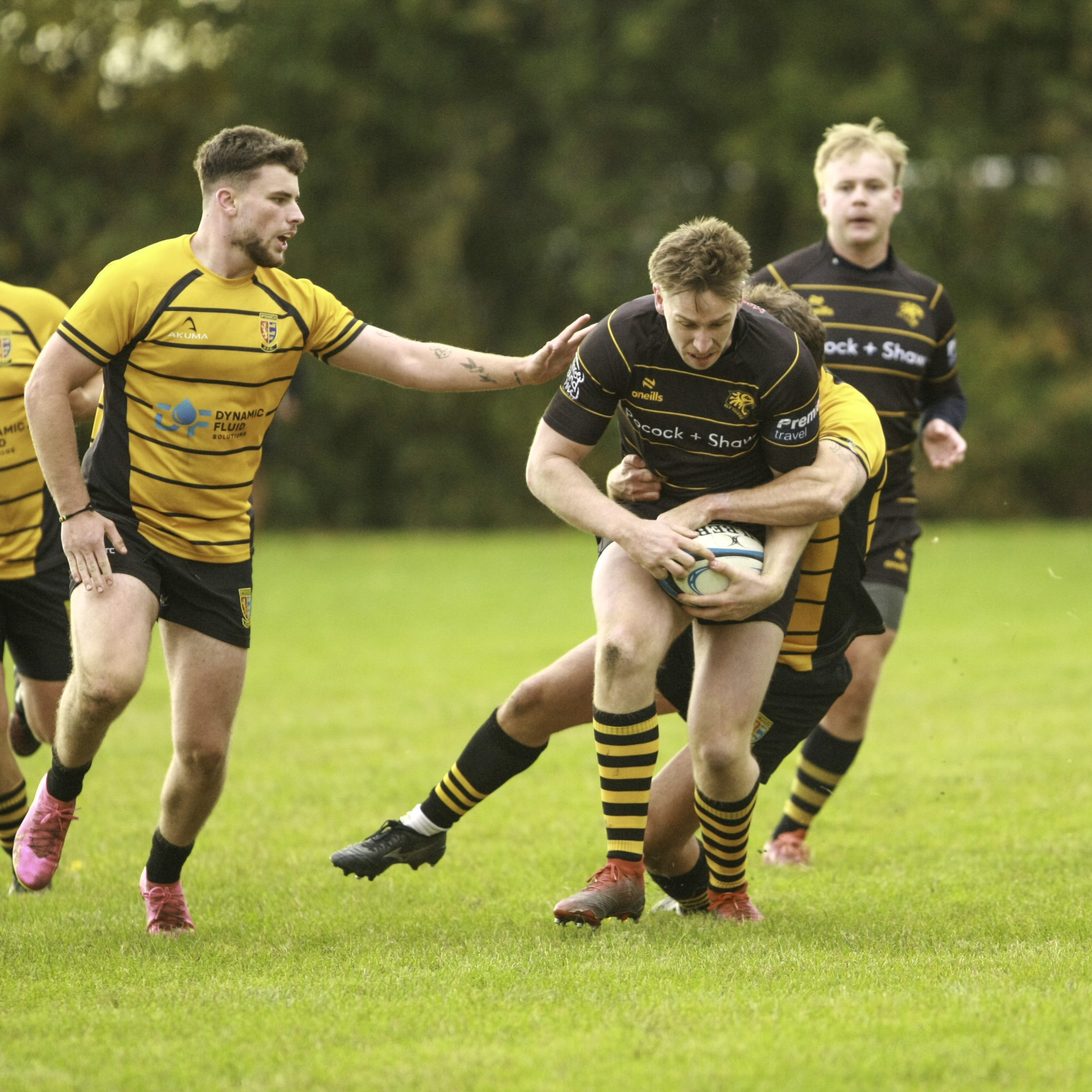 Ely Tigers battle Storm Amy in 24–10 home defeat to Ipswich RFC ...
