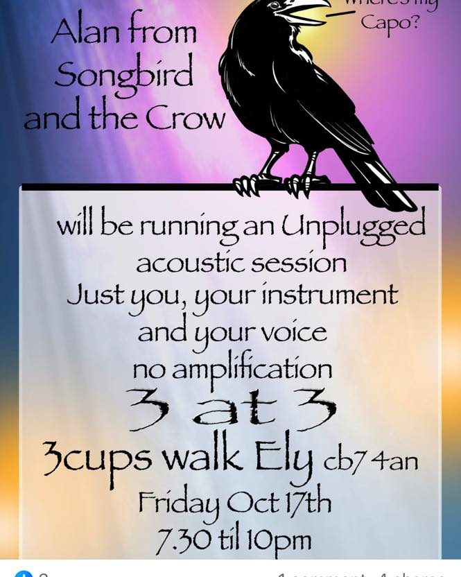 Open Mic Night and Songbird and the Crow - Spotted in Ely