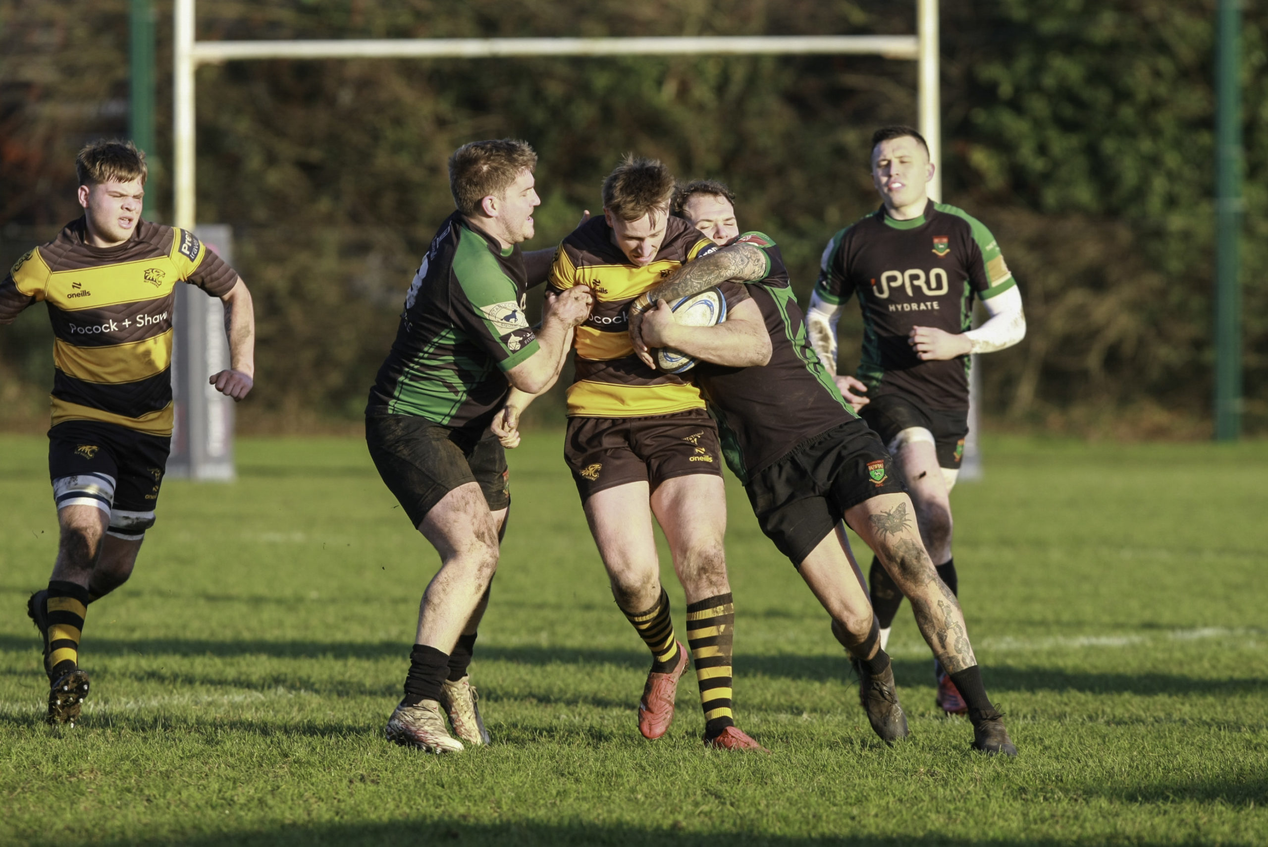 Ely Tigers finish 2025 with 30–21 derby win over Newmarket - Spotted in Ely